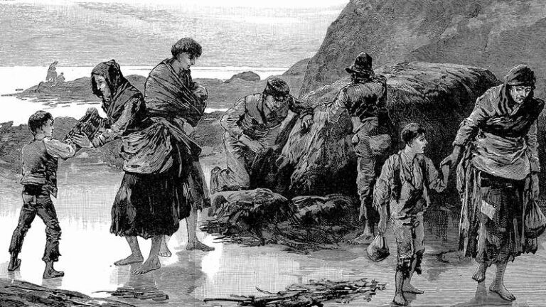 La Grande Famine de la Pomme de Terre en Irlande (1845-1852) - Aurélie ...